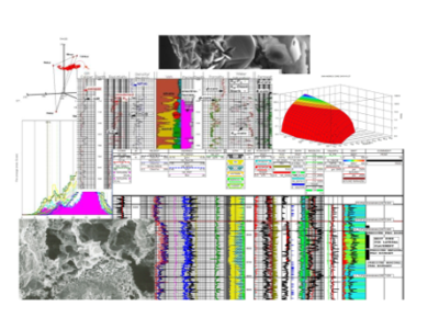 Reservoir Management/Petrophysics Experts | Wallace International LLC