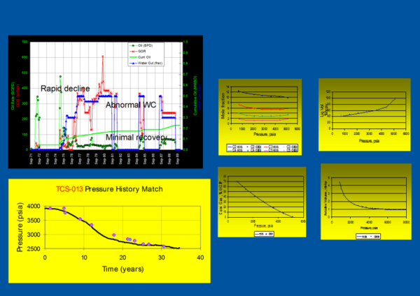 Courses | Basic Reservoir Engineering Training