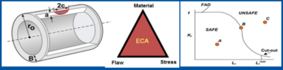 Engineering Critical Assessments (ECA)