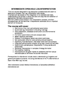 INTERMEDIATE OPEN-HOLE LOG INTERPRETATION | Wallace International LLC