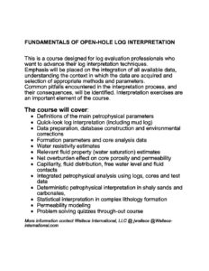 INTERMEDIATE OPEN-HOLE LOG INTERPRETATION | Wallace International LLC